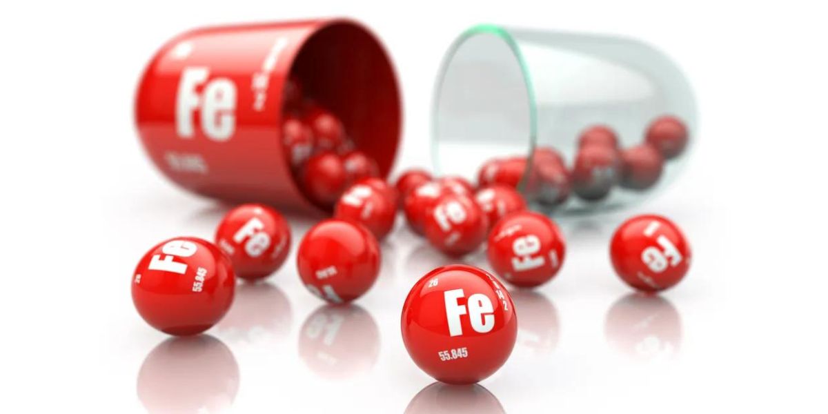 Melhores Suplementos de Ferro e Dicas Alimentares - Cidade Viva