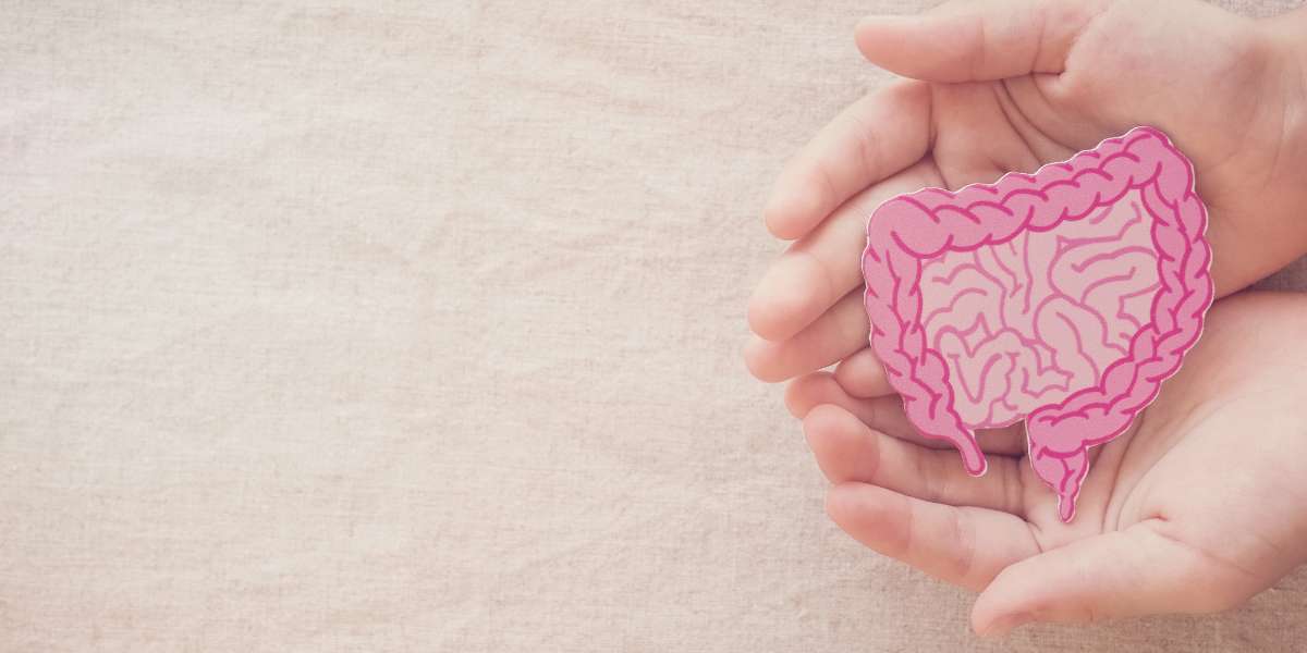 Cancro do Cólon: Sintomas e Como Prevenir Eficientemente - Cidade Viva